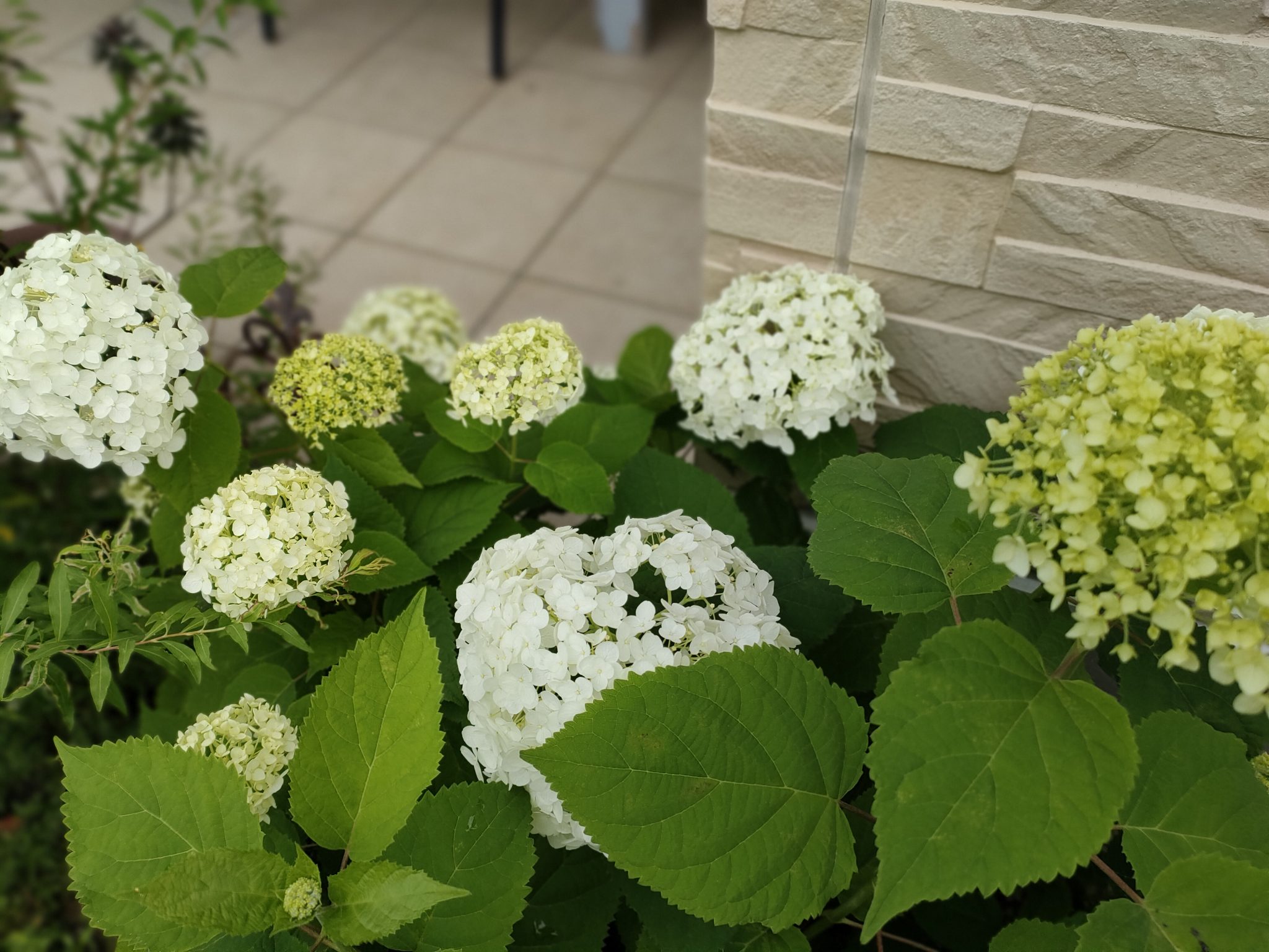 見学会のご来場ありがとうございました！ | ブログ | 松山市で注文住宅なら、TOAHOME株式会社